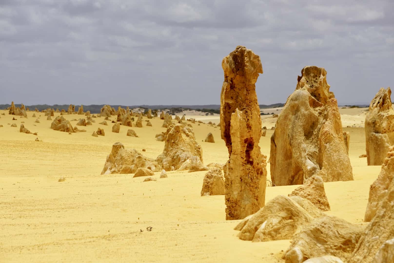 The Pinnacles Desert – Big Oz Explorers